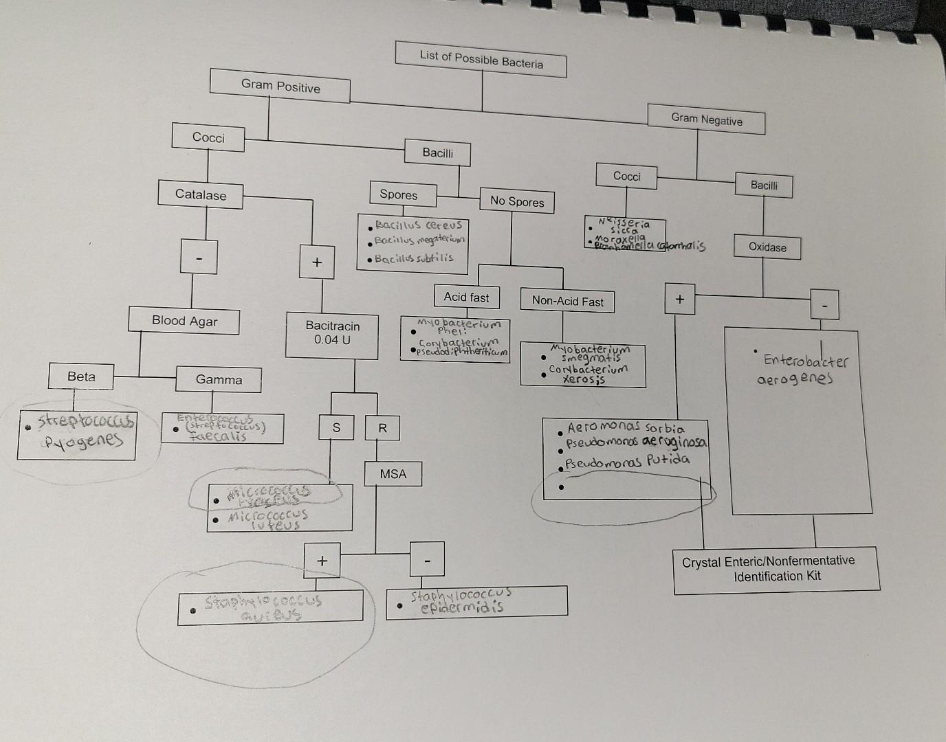 Solved LIST OF POSSIBLE UNKNOWNS The following list | Chegg.com