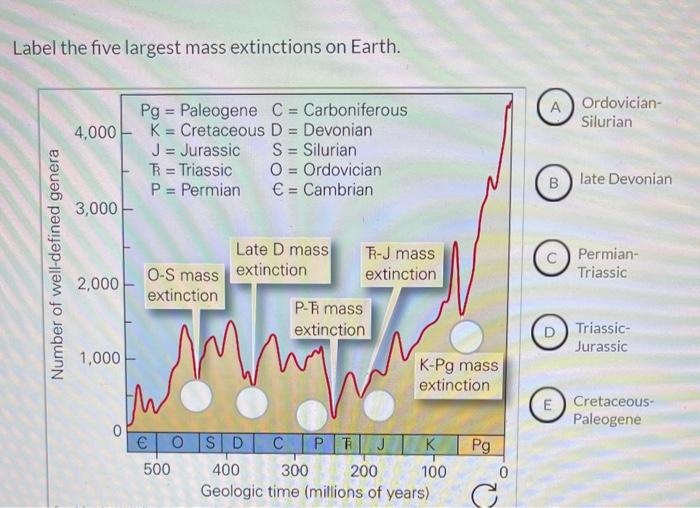 Solved Label the five largest mass extinctions on Earth. | Chegg.com