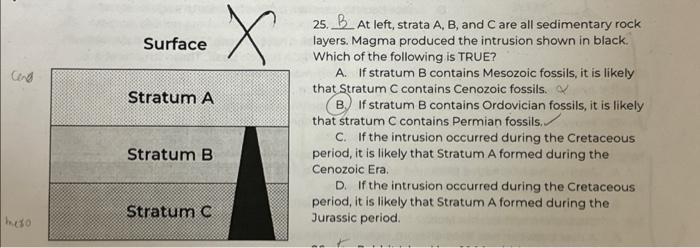Solved 25. B At left, strata A, B, and C are all sedimentary | Chegg.com