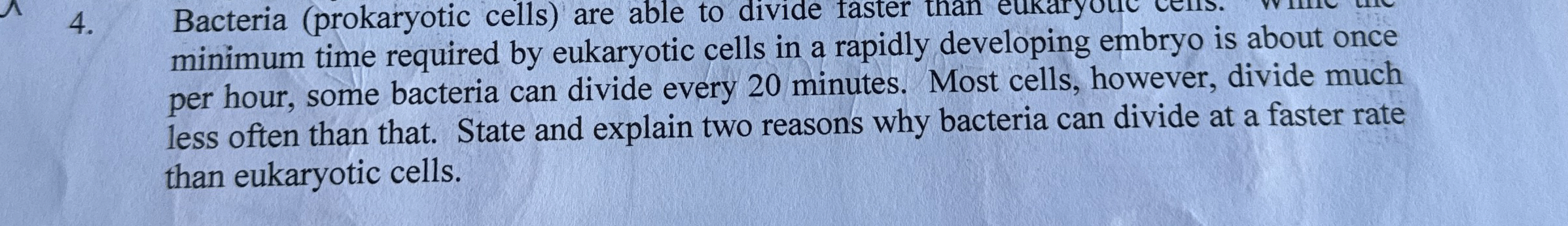 Solved Bacteria (prokaryotic cells) ﻿are able to divide | Chegg.com