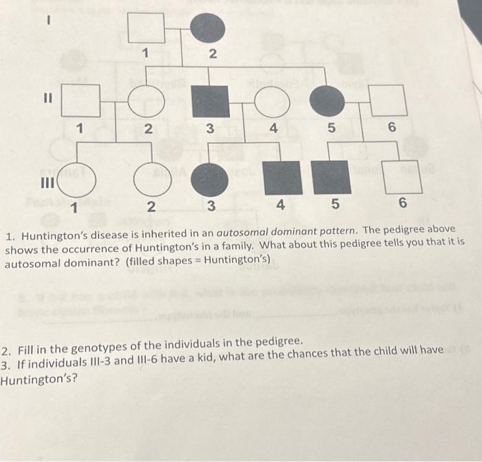 Solved 1. Huntington's disease is inherited in an autosomal | Chegg.com
