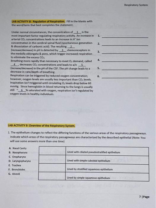 Solved Respiratory System 1. 2. 3. LAB ACTIVITY 8: | Chegg.com