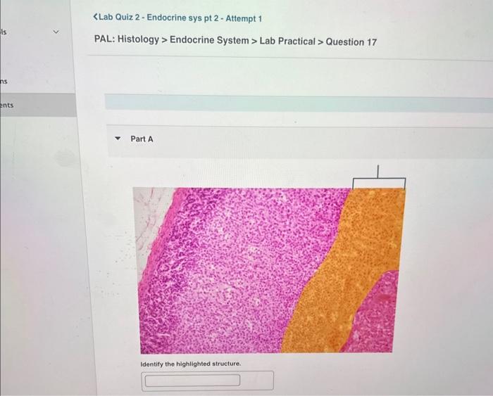 Solved Identify the highlighted structure. Identify the | Chegg.com