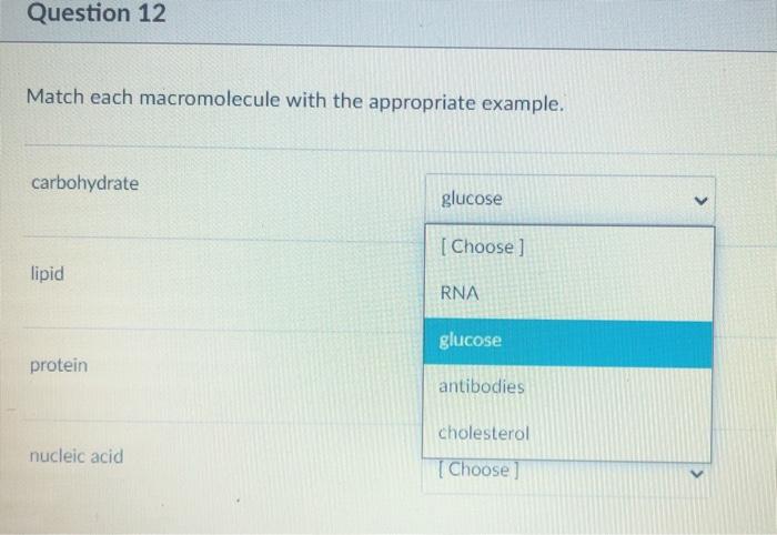 Solved Question 12 Match each macromolecule with the | Chegg.com