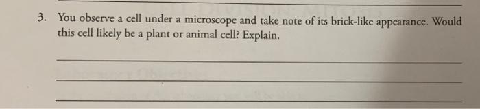 Solved You observe a cell under a microscope and take note | Chegg.com