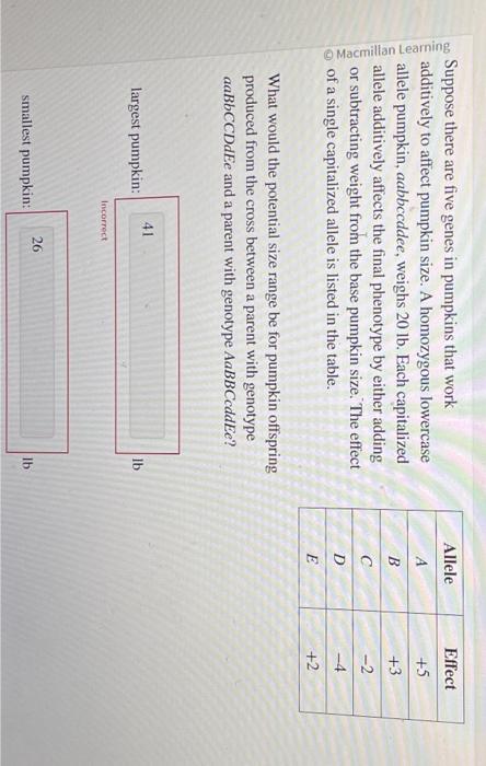 Solved Suppose there are five genes in pumpkins that work | Chegg.com