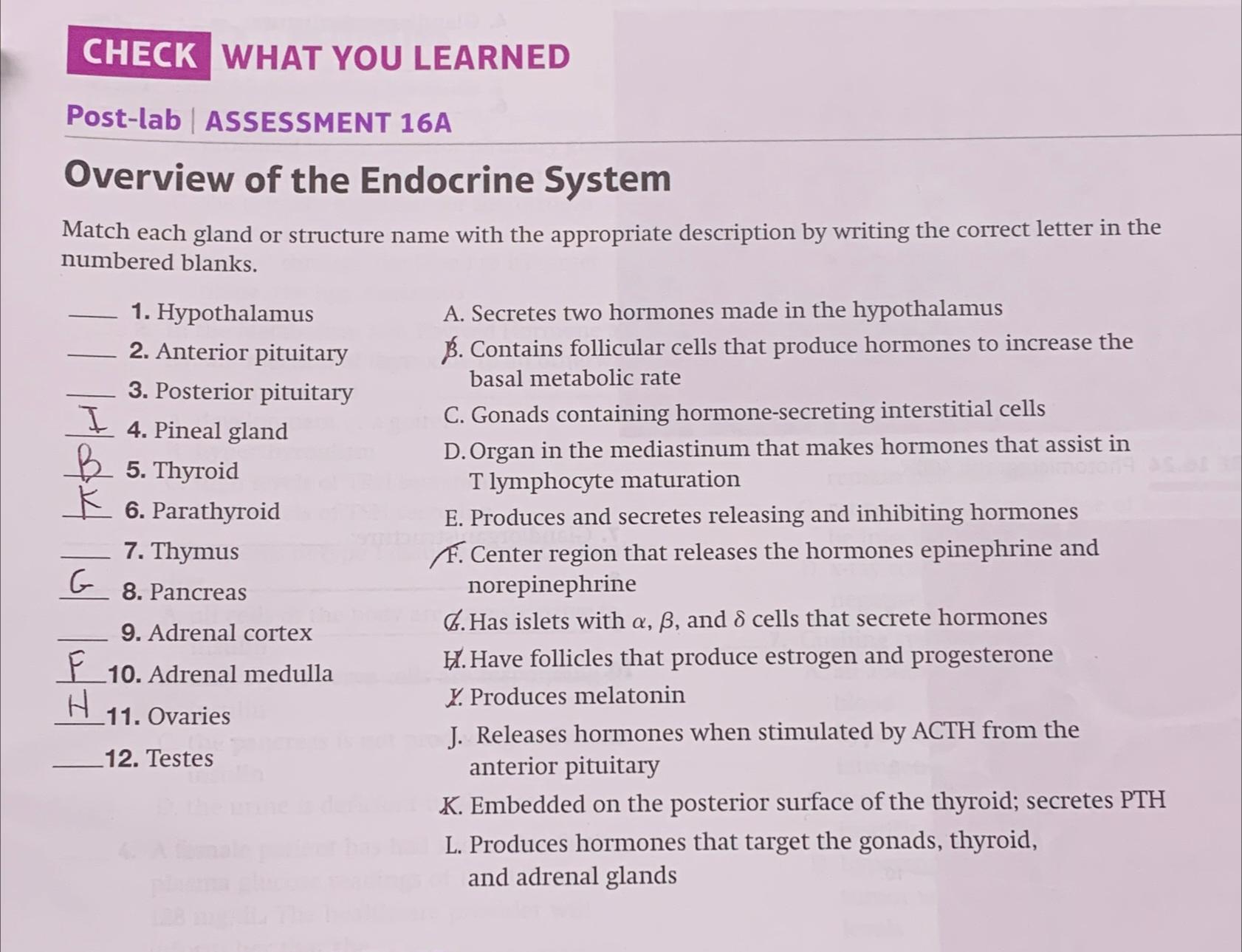 Solved CHECK WHAT YOU LEARNEDPost-lab | ﻿ASSESSMENT | Chegg.com
