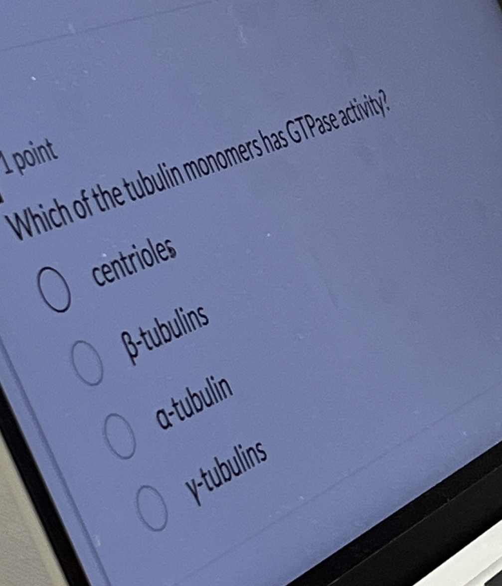 Solved Which of the tubulin monomers had GTPase activity? | Chegg.com