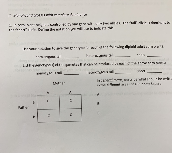 Solved II. Monohybrid crosses with complete dominance 1. In | Chegg.com