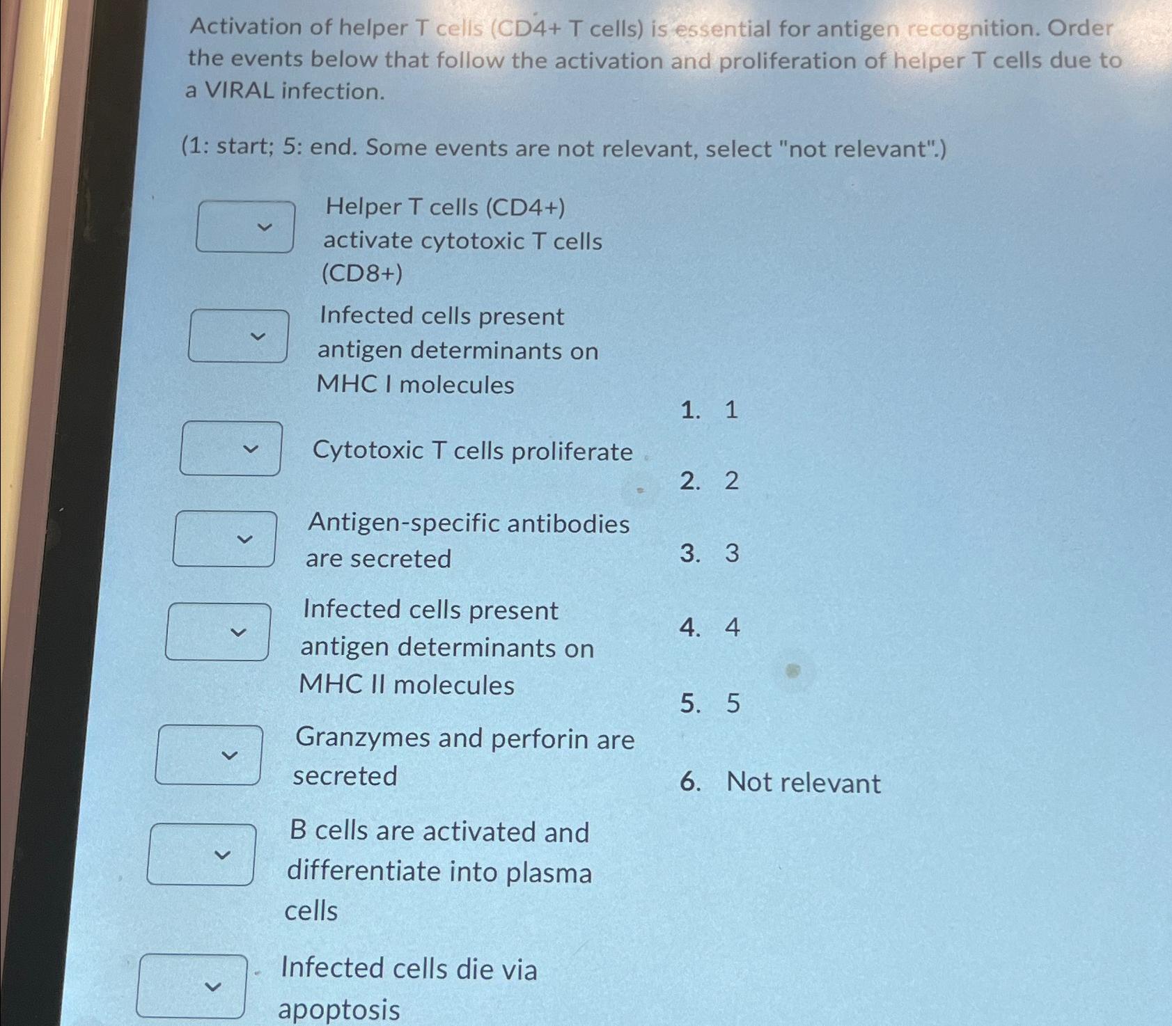 Solved Activation of helper T ﻿cells (CD4+ ﻿T cells) ﻿is | Chegg.com