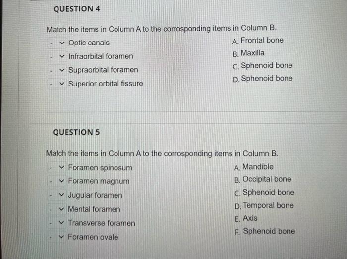 Solved Match the items in Column A to the corrosponding | Chegg.com