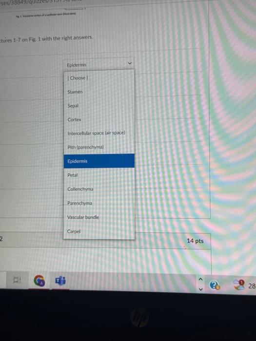 Solved Match structures 1-7 on Fig. 1 with the right | Chegg.com
