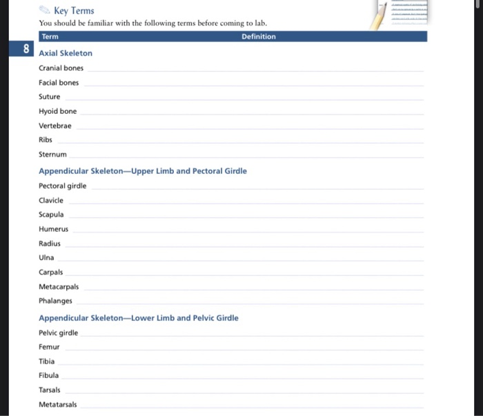 Solved Pre-Lab Exercise 8-2 Bones of the Skull Label and | Chegg.com