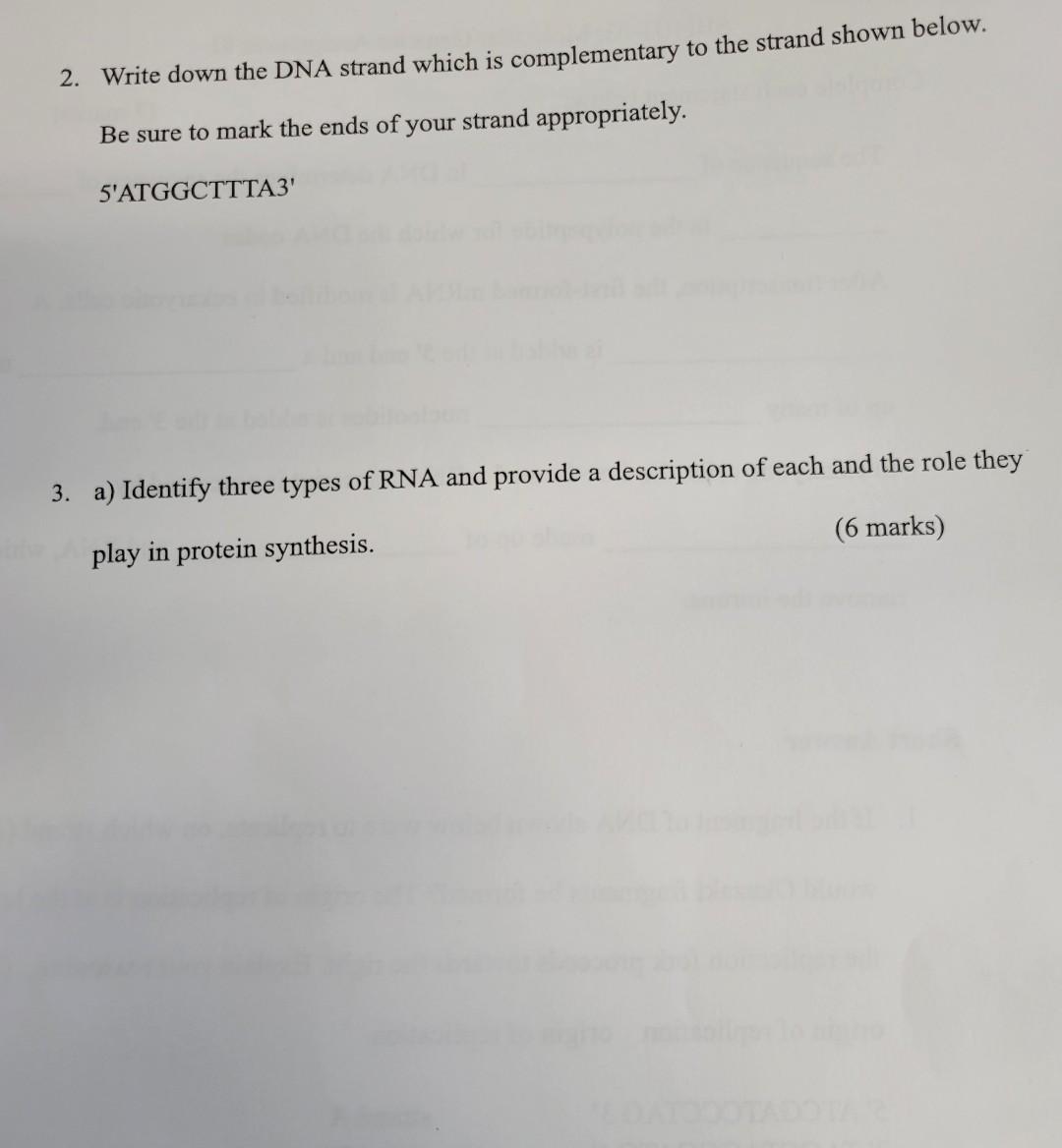 Solved 2. Write down the DNA strand which is complementary | Chegg.com