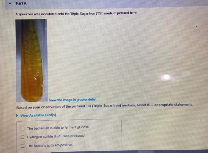 Solved Part A A specimen was inoculated onto the Triple | Chegg.com