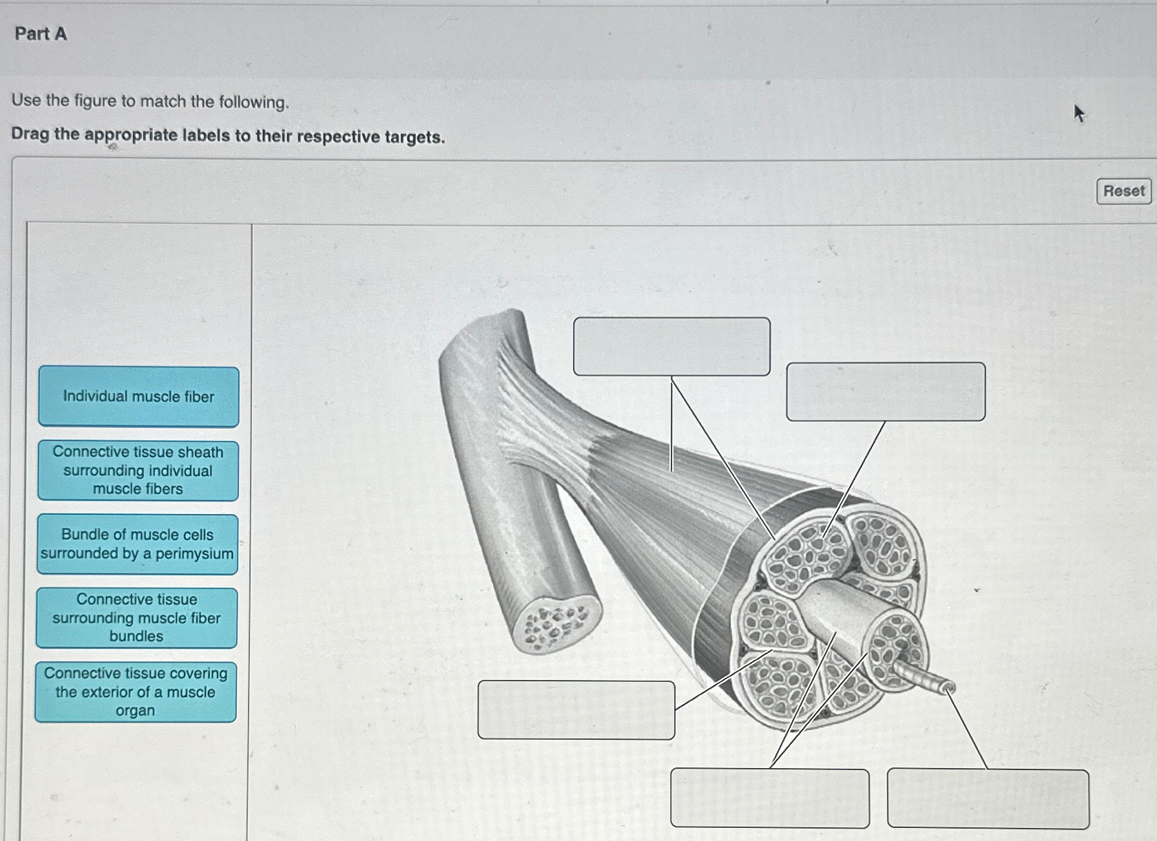 Solved Part AUse the figure to match the following.Drag the | Chegg.com