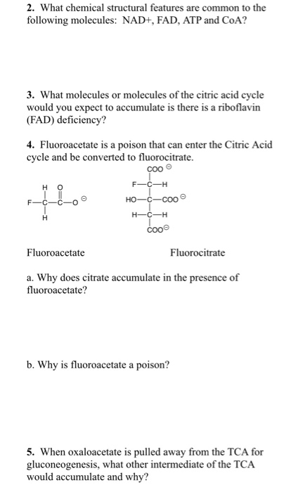 Solved 2. What chemical structural features are common to | Chegg.com