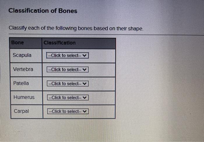 Solved Classification of Bones Classify each of the | Chegg.com