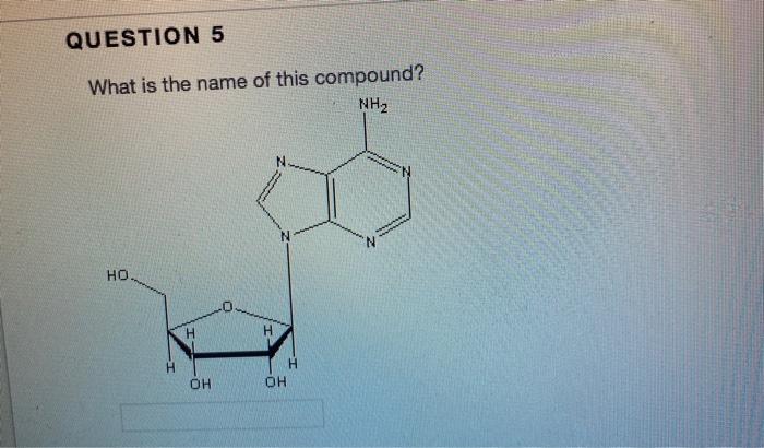 Solved QUESTION 5 What is the name of this compound? NH2 HO | Chegg.com
