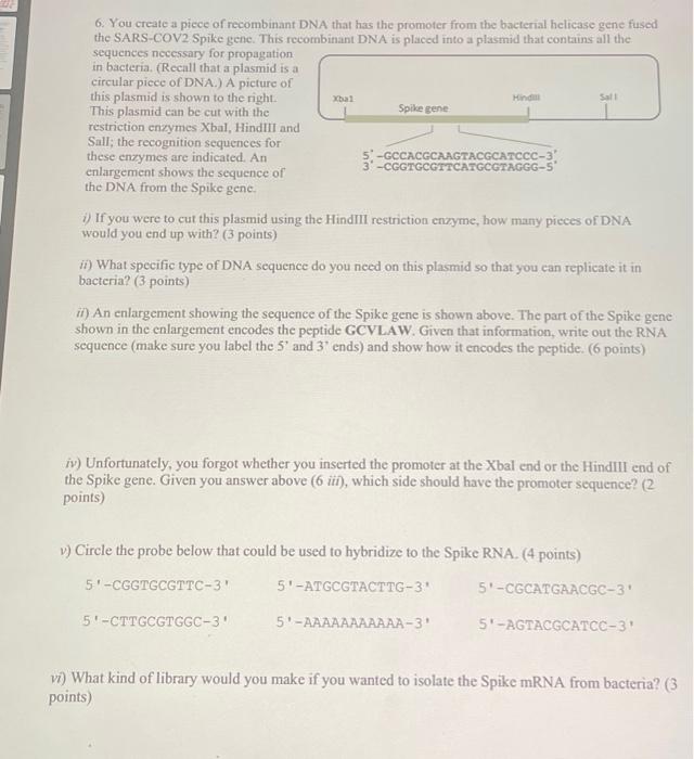 Solved 6. You create a piece of recombinant DNA that has the | Chegg.com