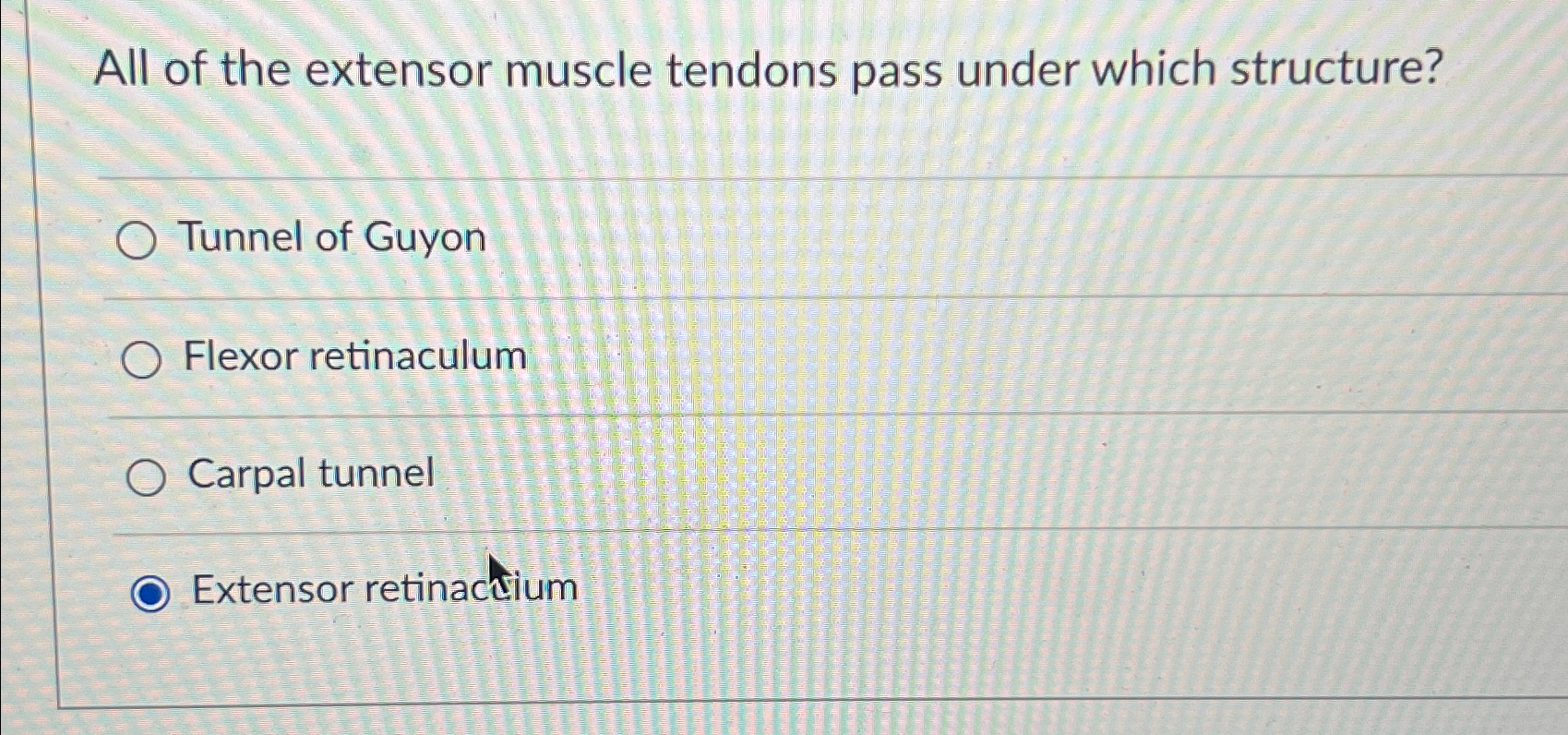 Solved All of the extensor muscle tendons pass under which | Chegg.com