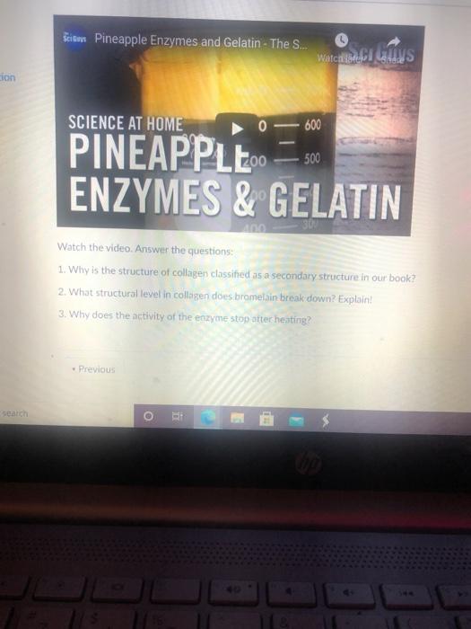 Solved Šian Pineapple Enzymes and Gelatin - The S... | Chegg.com