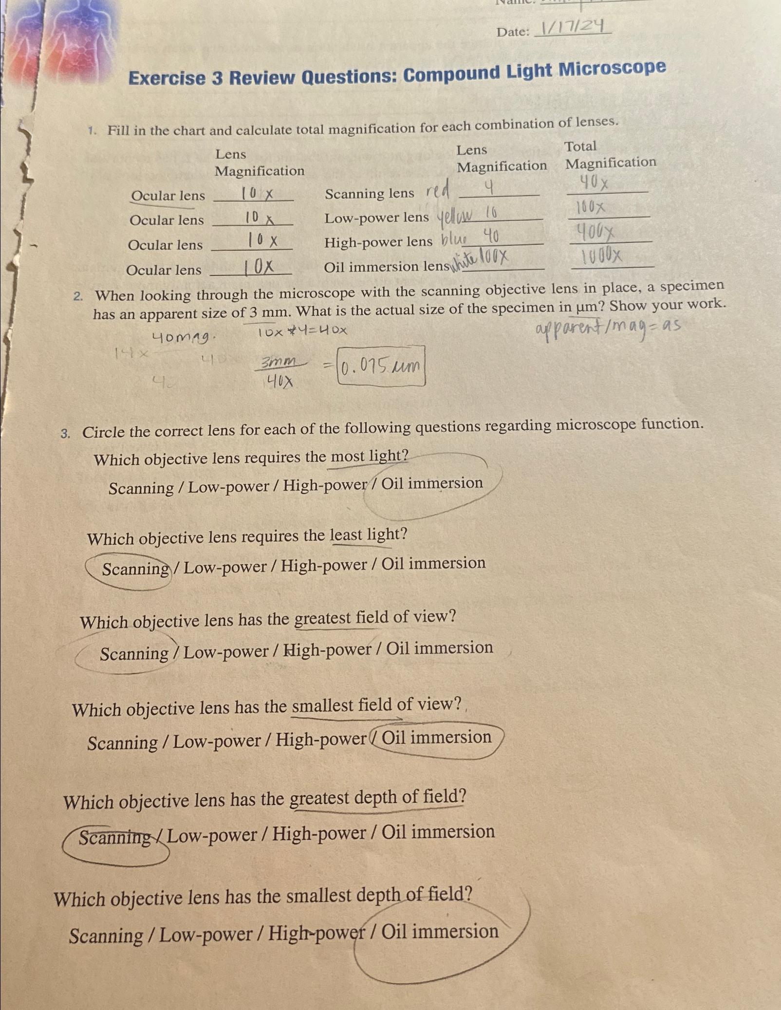 Solved Date: 117?24Exercise 3 ﻿Review Questions: Compound | Chegg.com