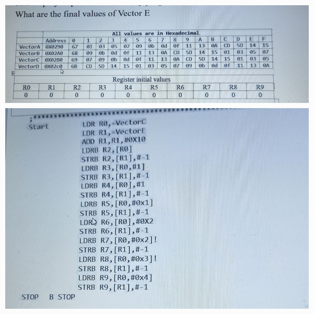Solved What are the final values of Vector E\table[[,All | Chegg.com