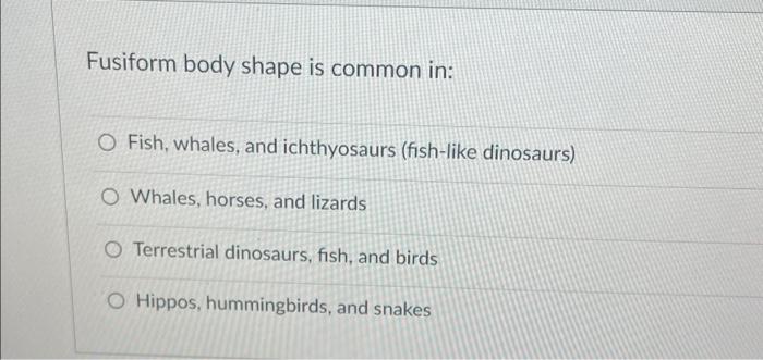 Solved Fusiform body shape is common in: O Fish, whales, and | Chegg.com