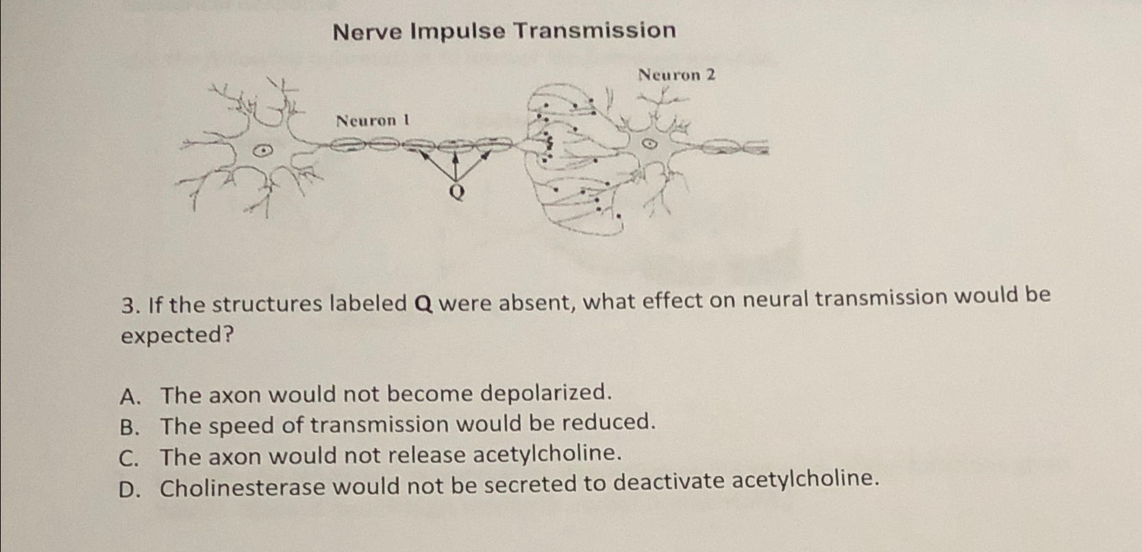 Solved Nerve Impulse Transmission3. ﻿If the structures | Chegg.com