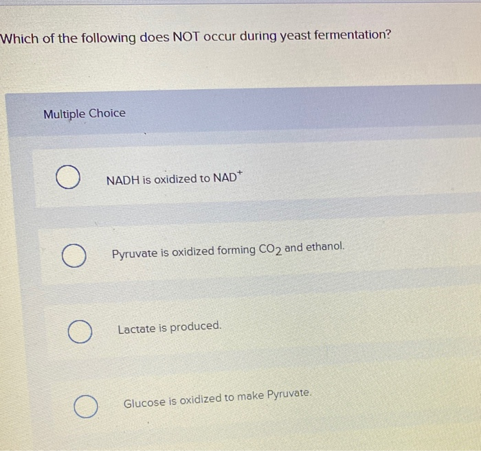Solved Which of the following does NOT occur during yeast | Chegg.com