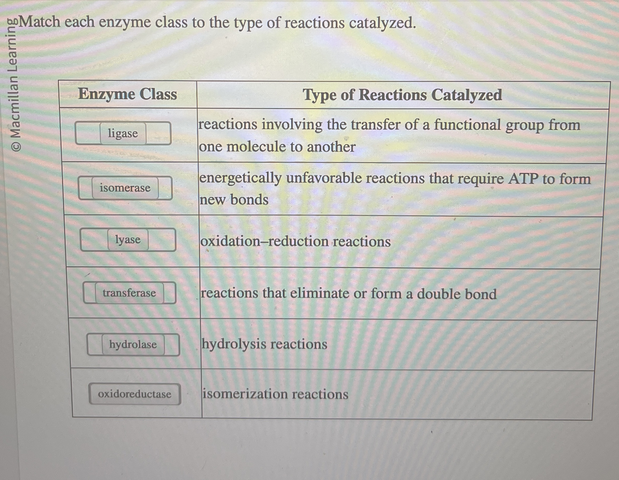 Solved Match each enzyme class to the type of reactions | Chegg.com