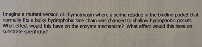Solved 6. Imagine a mutant version of chymotrypsin where a | Chegg.com