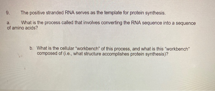 Solved 9. The positive stranded RNA serves as the template | Chegg.com
