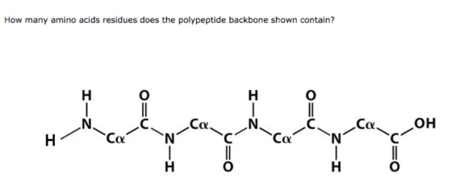Solved How many amino acids residues does the polypeptide | Chegg.com