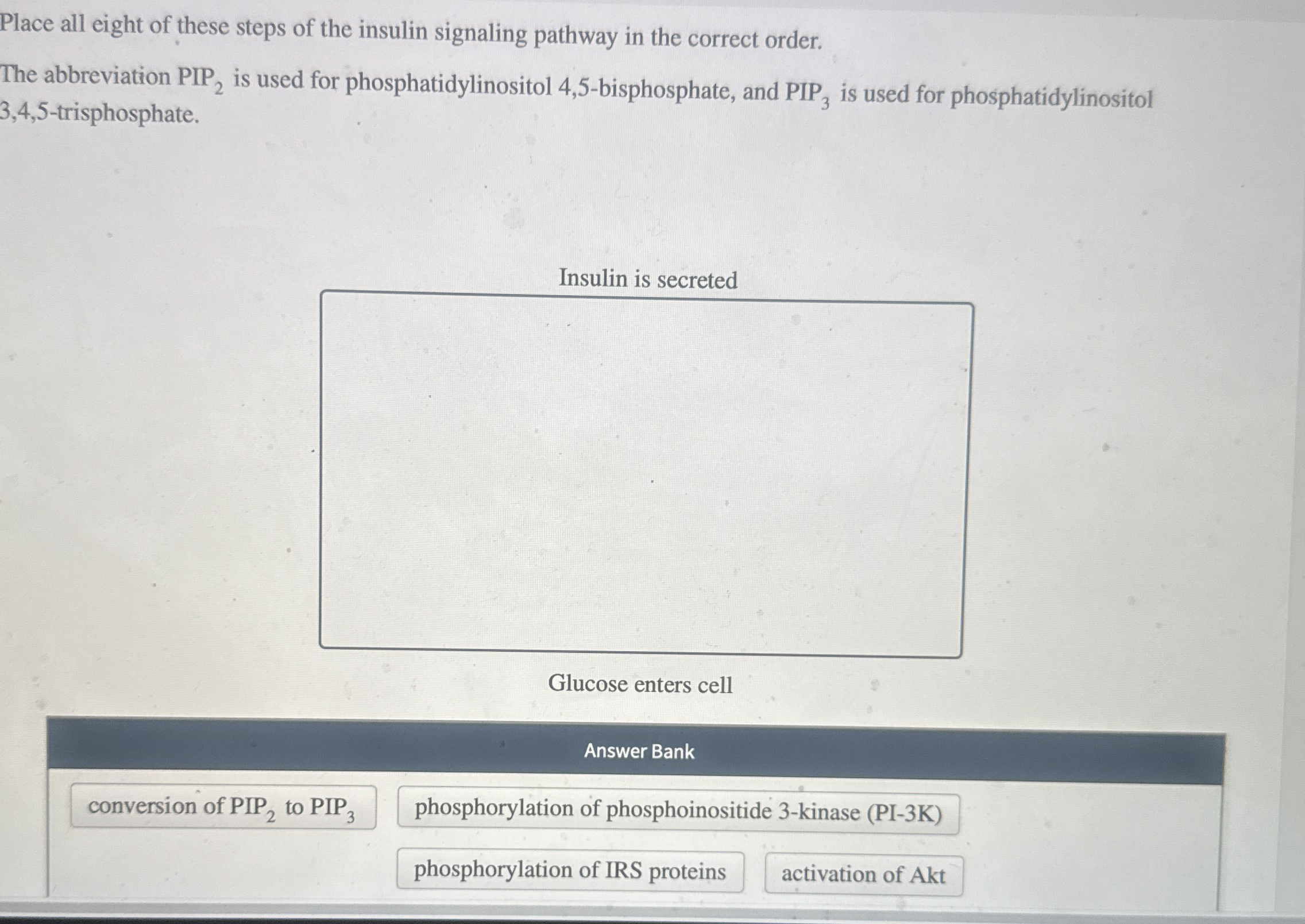 Place all eight of these steps of the insulin | Chegg.com