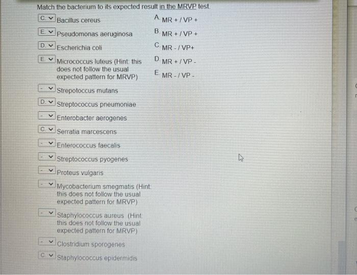Solved D. Match the bacterium to its expected result in the | Chegg.com