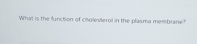 Solved What is the function of cholesterol in the plasma | Chegg.com