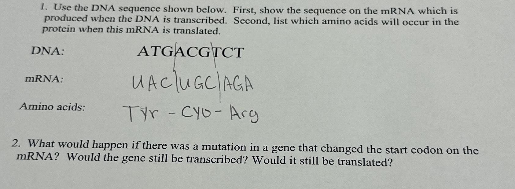 Solved Use the DNA sequence shown below. First, show the | Chegg.com