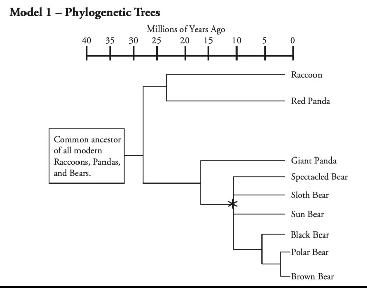 Solved Model 1 - Phylogenetic Trees Millions of Years Ago 40 | Chegg.com