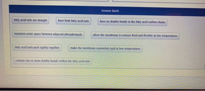 Solved Sort the descriptions into properties that describe | Chegg.com
