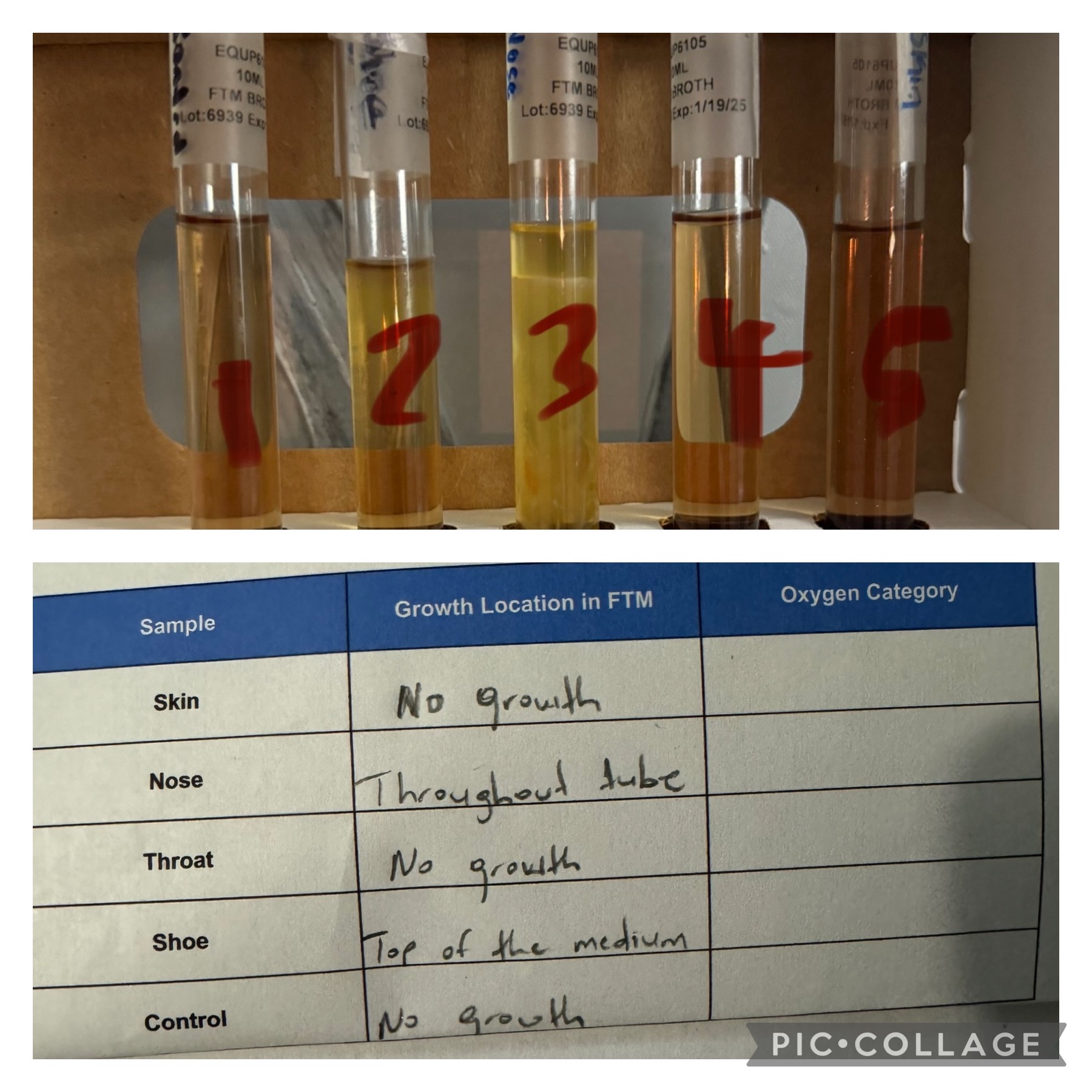 [Solved]: What is the oxygen category for the results below?