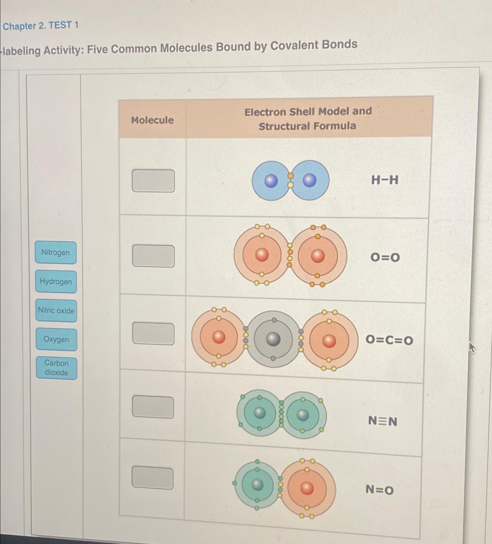 Solved Chapter 2. ﻿TEST 1-labeling Activity: Five Common | Chegg.com
