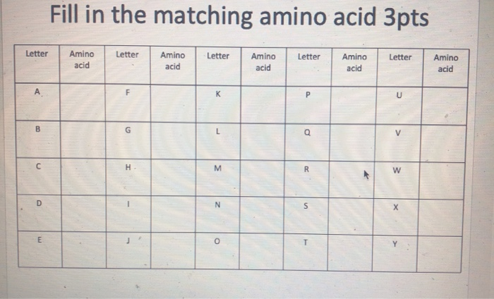 Solved Fill in the matching amino acid 3pts Letter Letter | Chegg.com