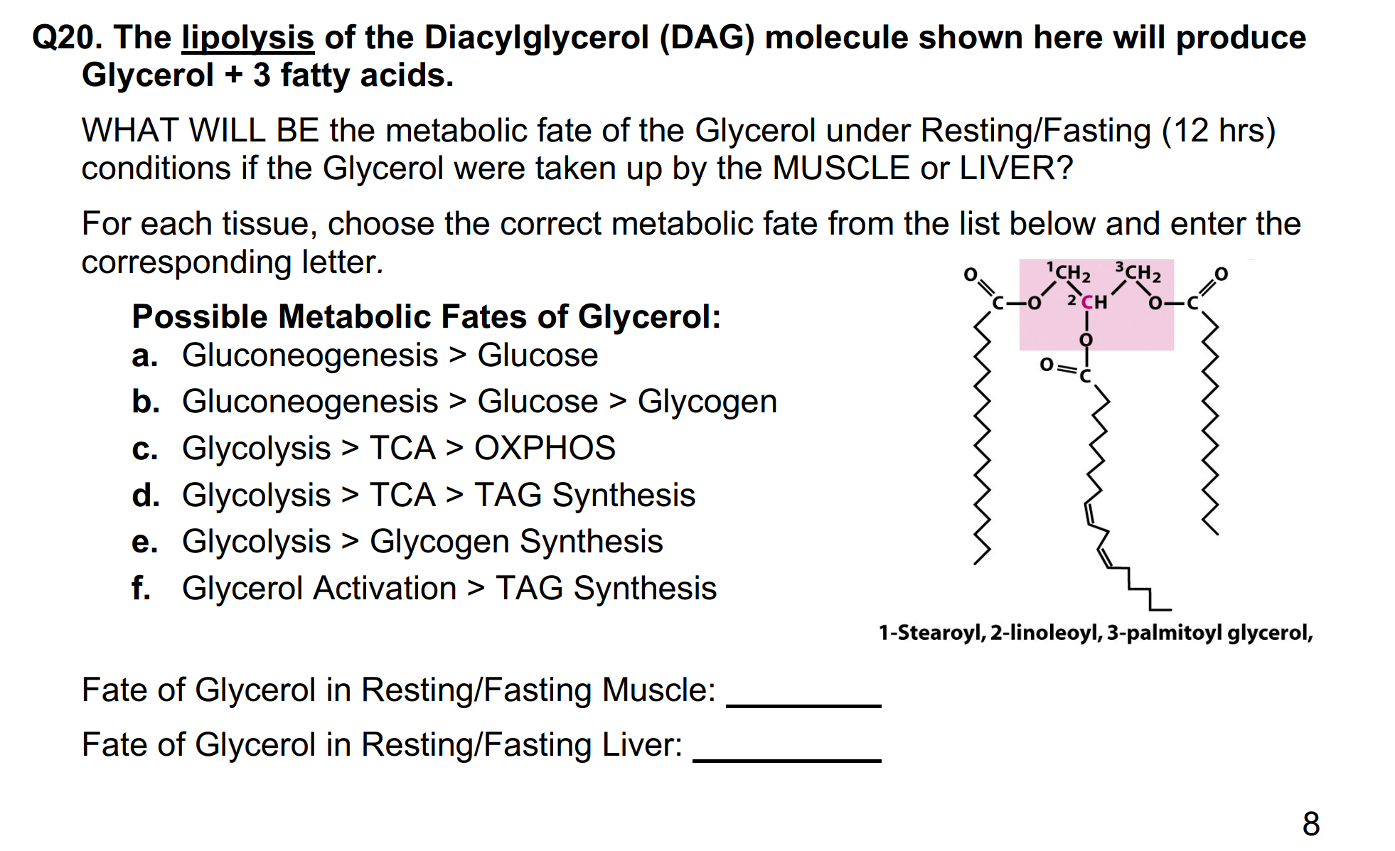 Solved Q20. ﻿The lipolysis of the Diacylglycerol (DAG) | Chegg.com