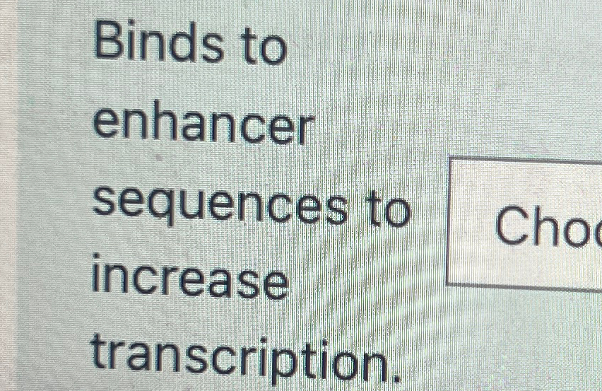 Solved Binds toenhancersequences to increasetranscription. | Chegg.com