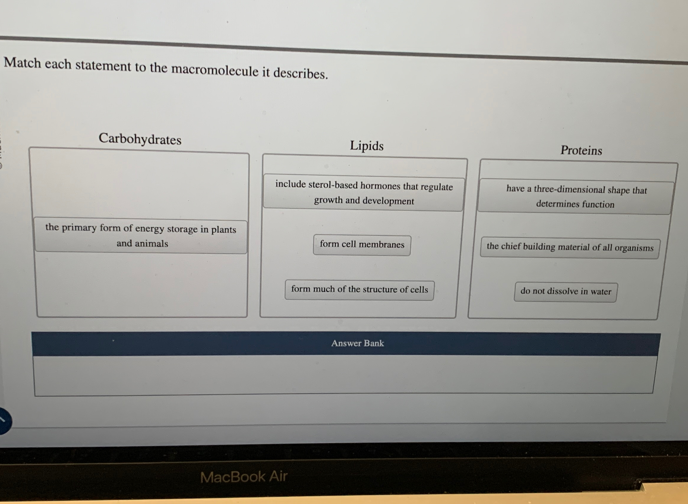 Solved Match each statement to the macromolecule it | Chegg.com
