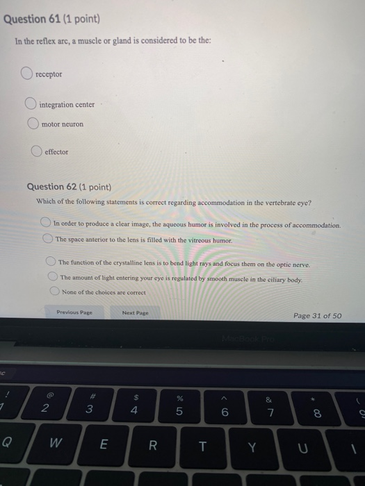 Solved Question 61 (1 point) In the reflex arc, a muscle or | Chegg.com