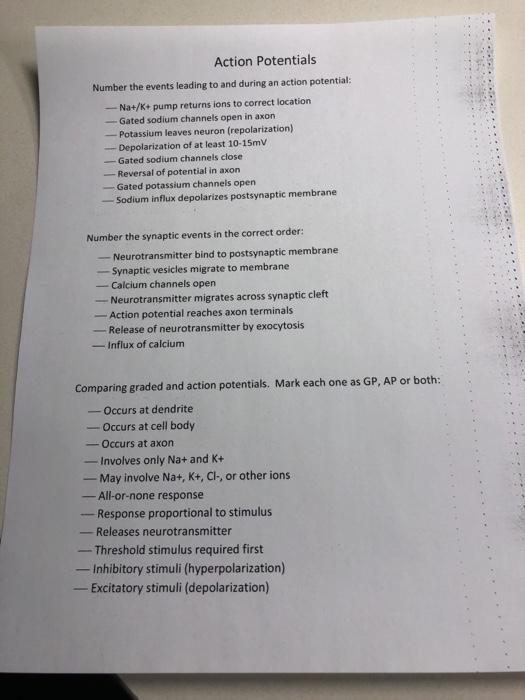 Solved Action Potentials WorksheetNumber the events leading | Chegg.com