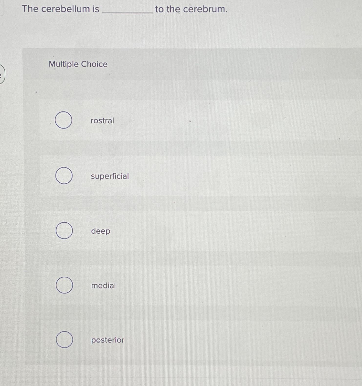 Solved The cerebellum is to the cerebrum.Multiple | Chegg.com